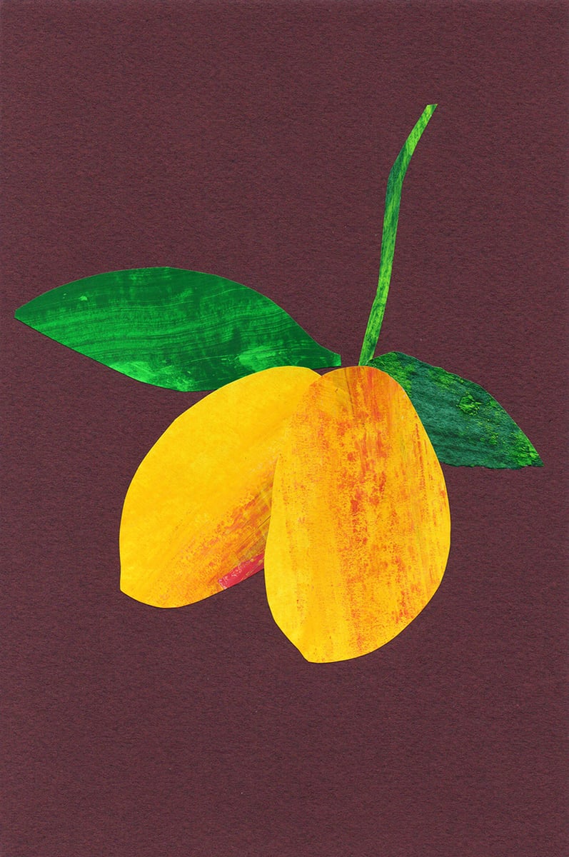 Mango, Original Collage Art – Hand-Painted, One-of-a-Kind (148.5 x ...