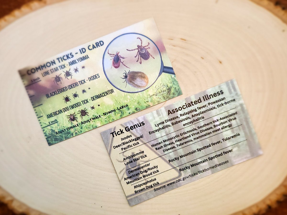 Tick ID Card | Sam Sikkenga Art