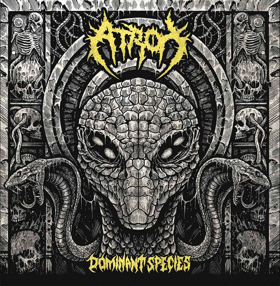 American Line Prods small web store — CDs