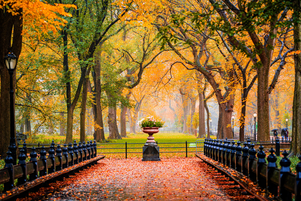 The Mall | Boubah360