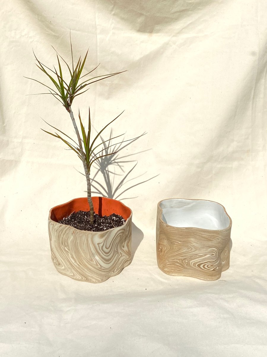 Planters | DAYS EYE