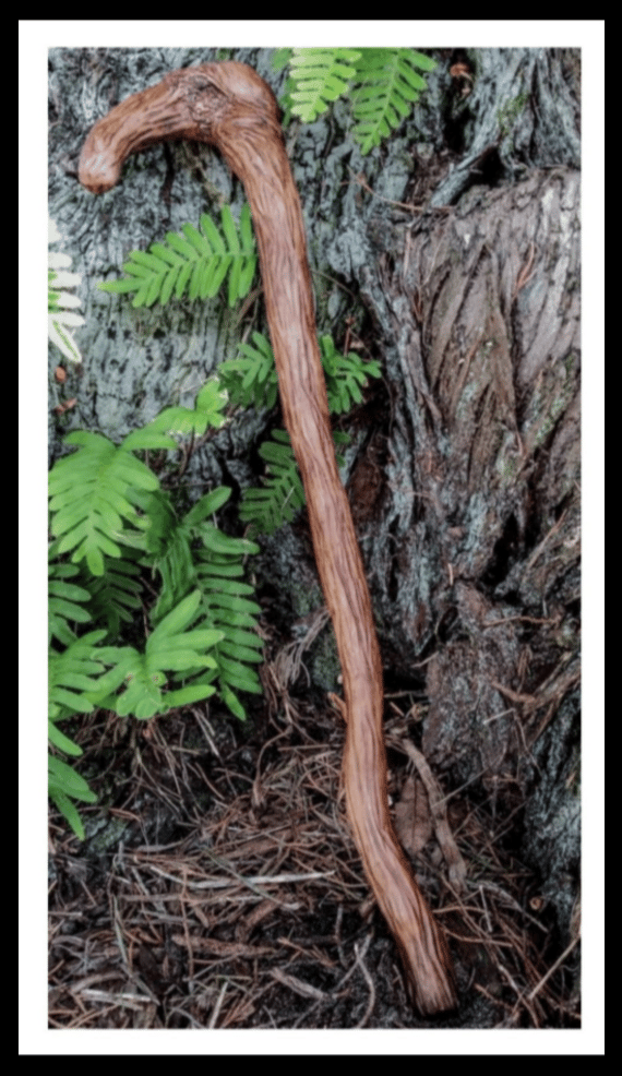 Yoda's cane (Gimer Stick) | el Vomito