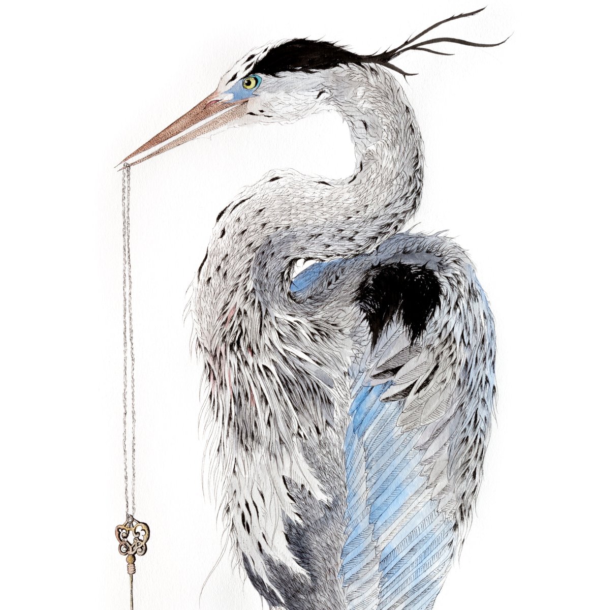 Great Blue Heron | Jen Toledo