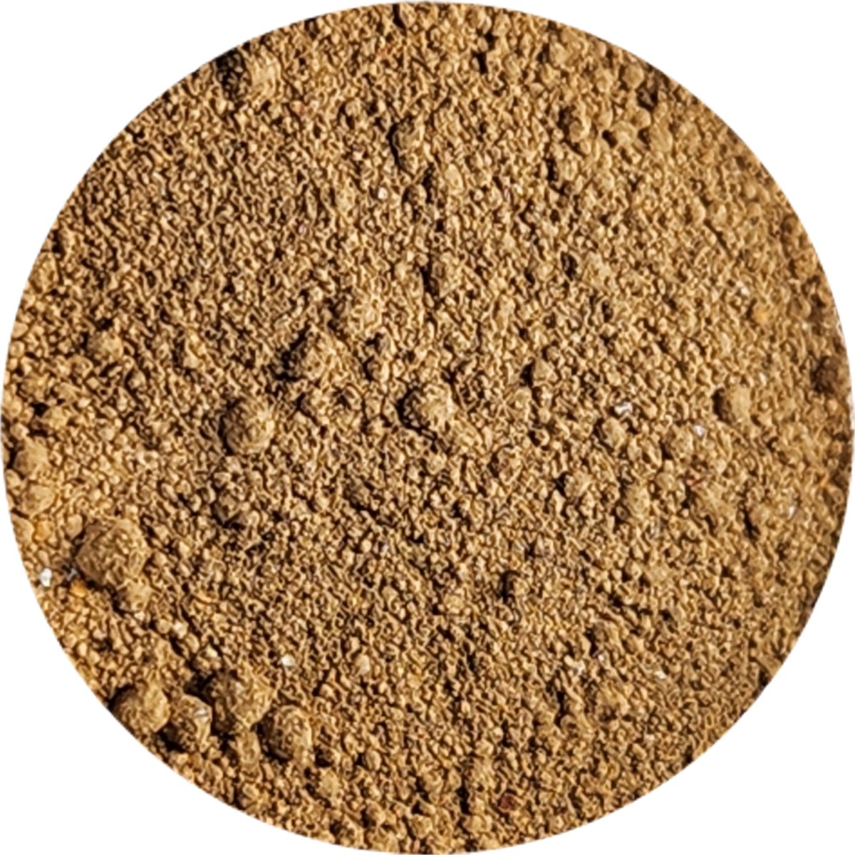 Almond Beige Flesh Tone Powder Pigment | philadelphiaeddietattoosupply