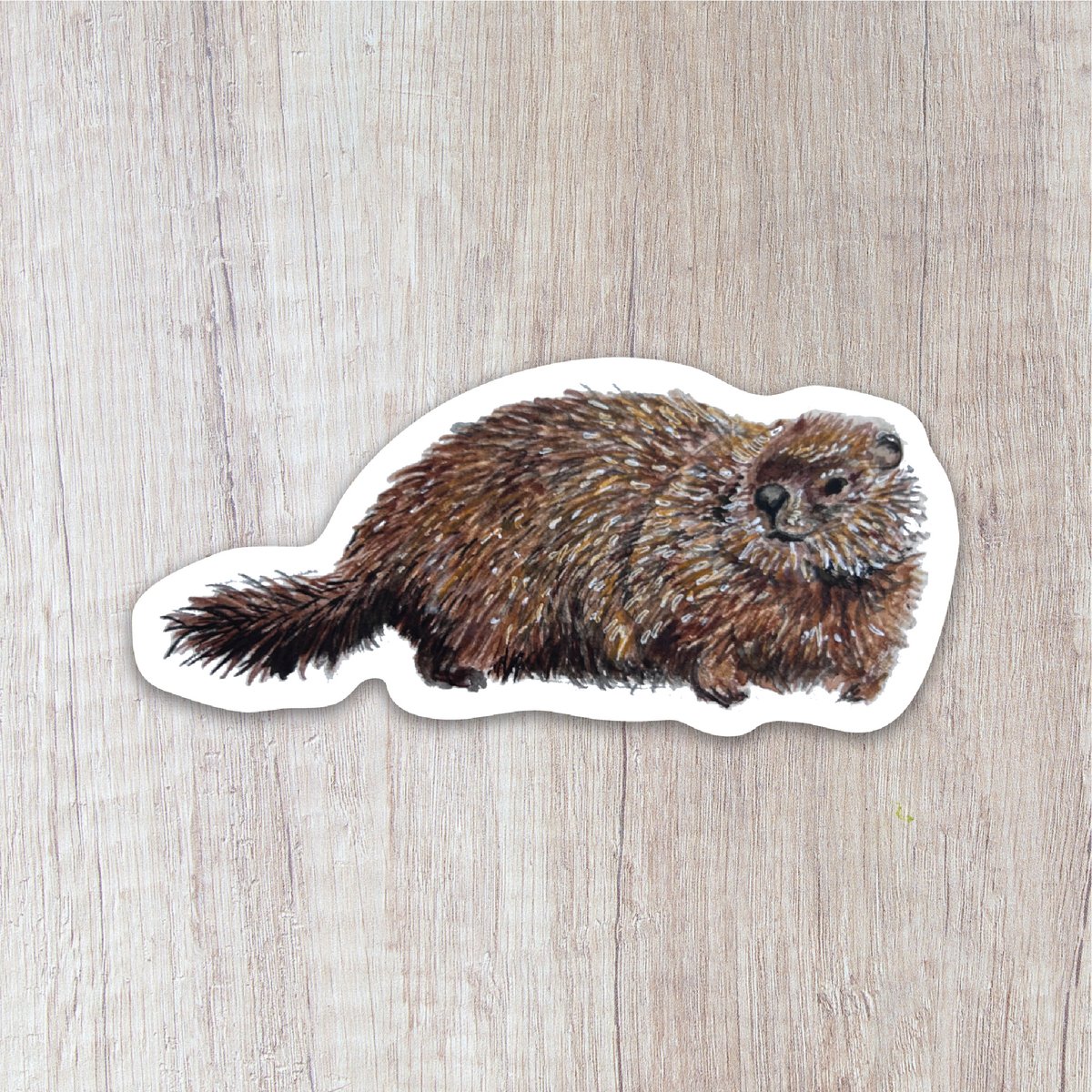 Groundhog Sticker | Brush & Bark