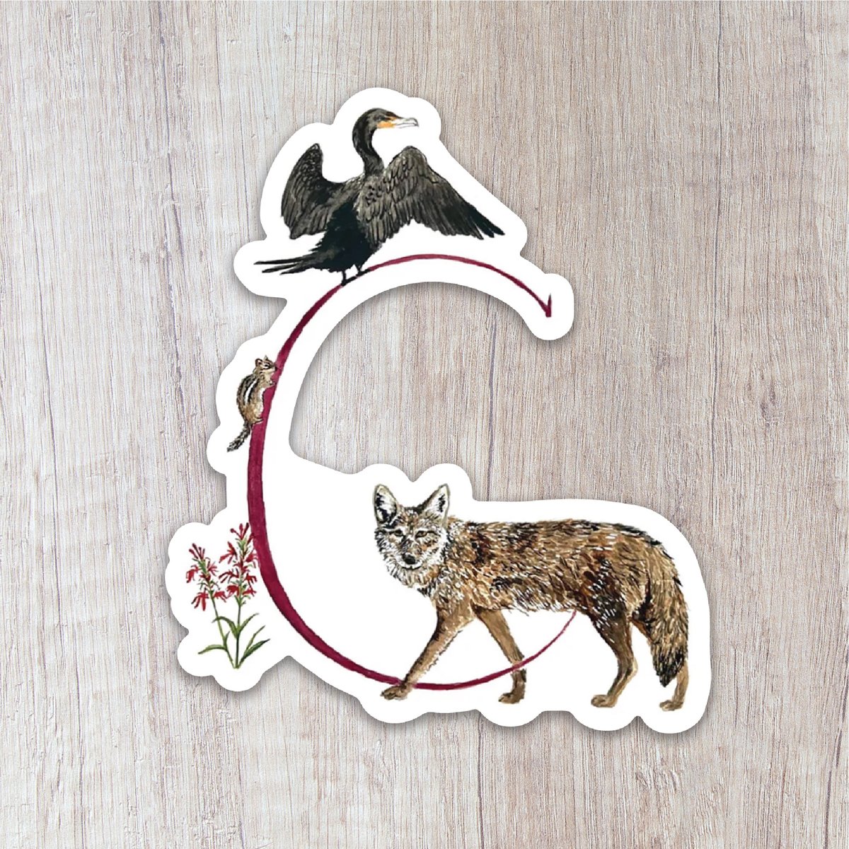 Letter C Sticker | Brush & Bark