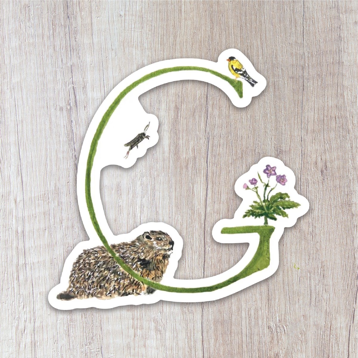 Letter G Sticker | Brush & Bark