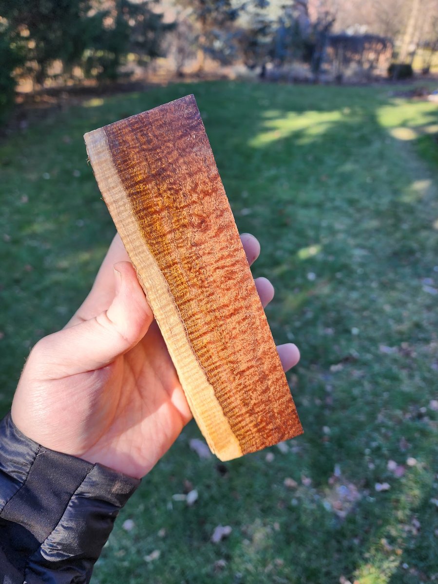 Western Myall 3 | Teddy's Timber