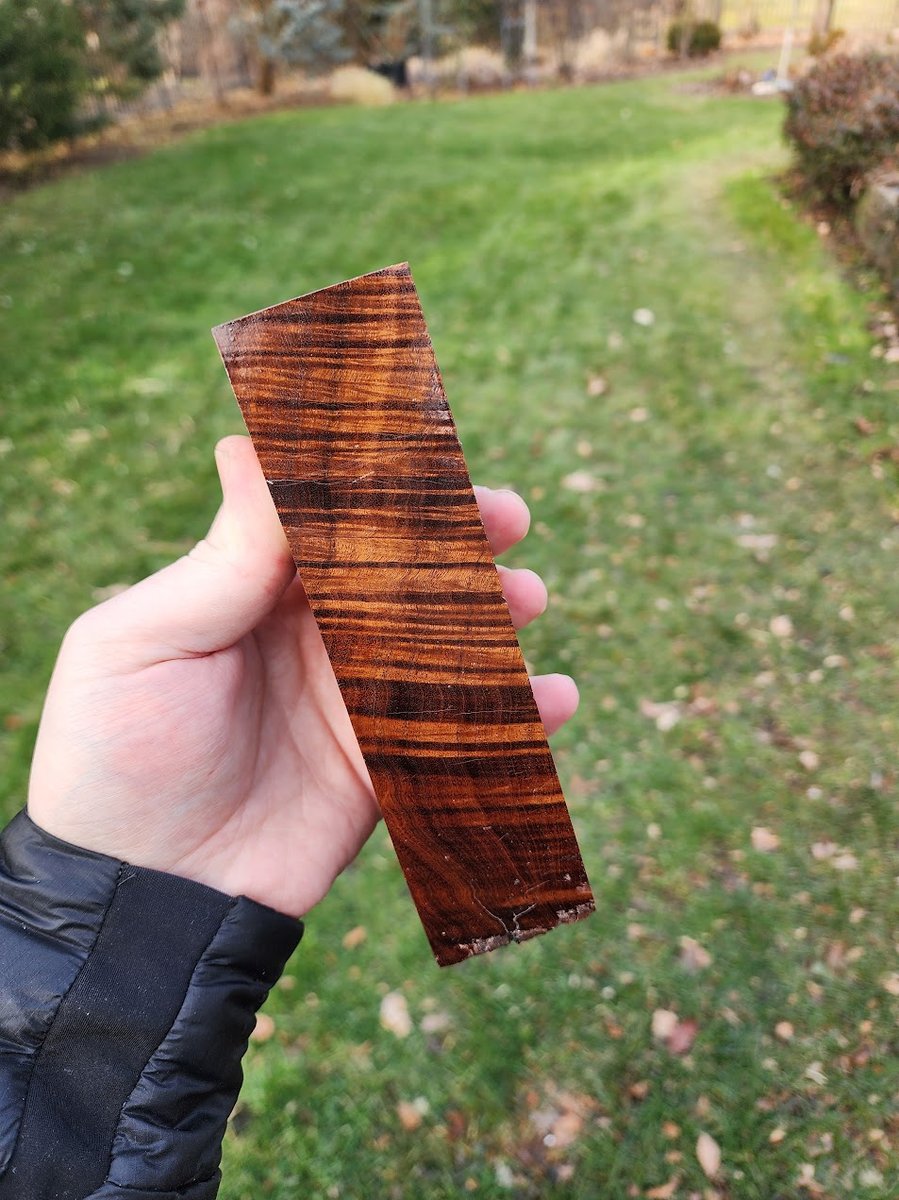 Ringed Gidgee 1 | Teddy's Timber