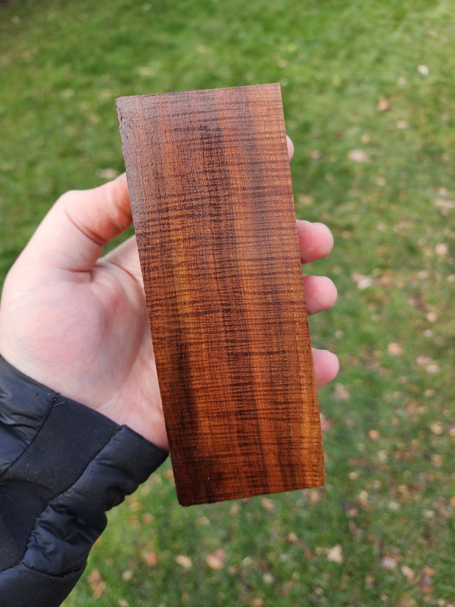 Ringed Gidgee 6 | Teddy's Timber