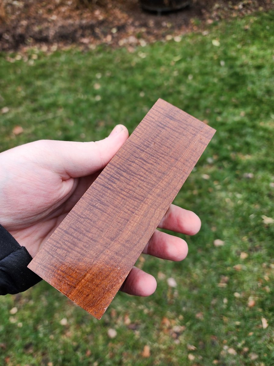 Ringed Gidgee 22 | Teddy's Timber