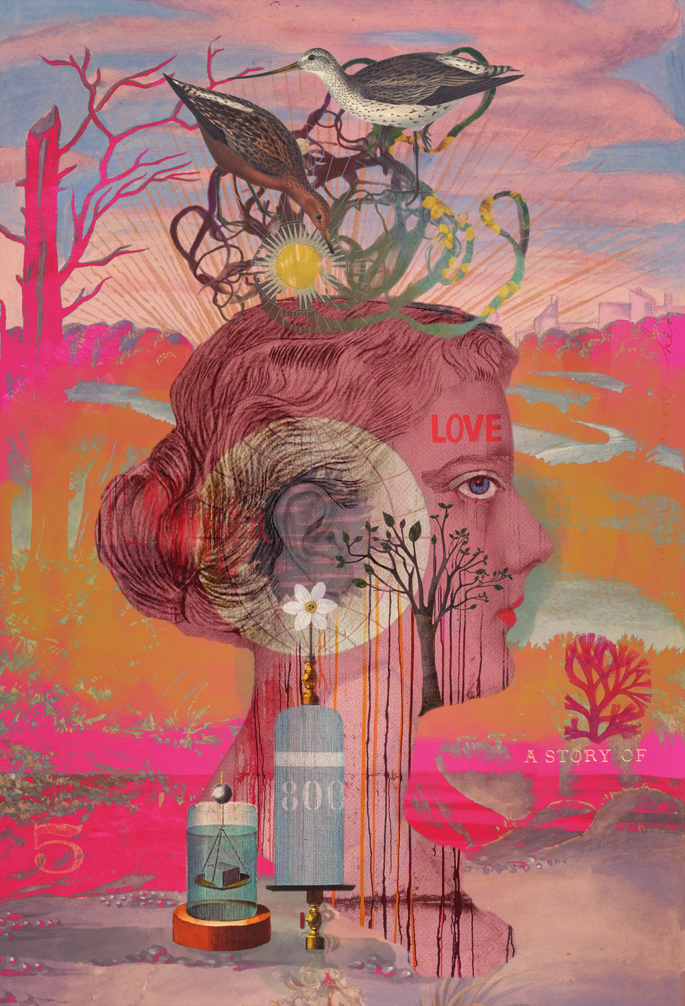 A Story Of | Sarah Jarrett Art
