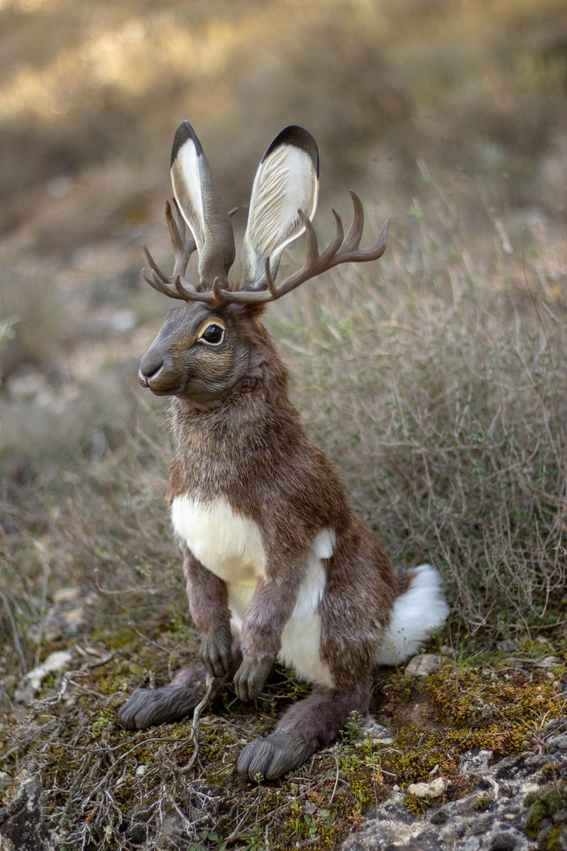 PREORDER - Jackalope Poseable Art Doll | Fuego Fatuo Art