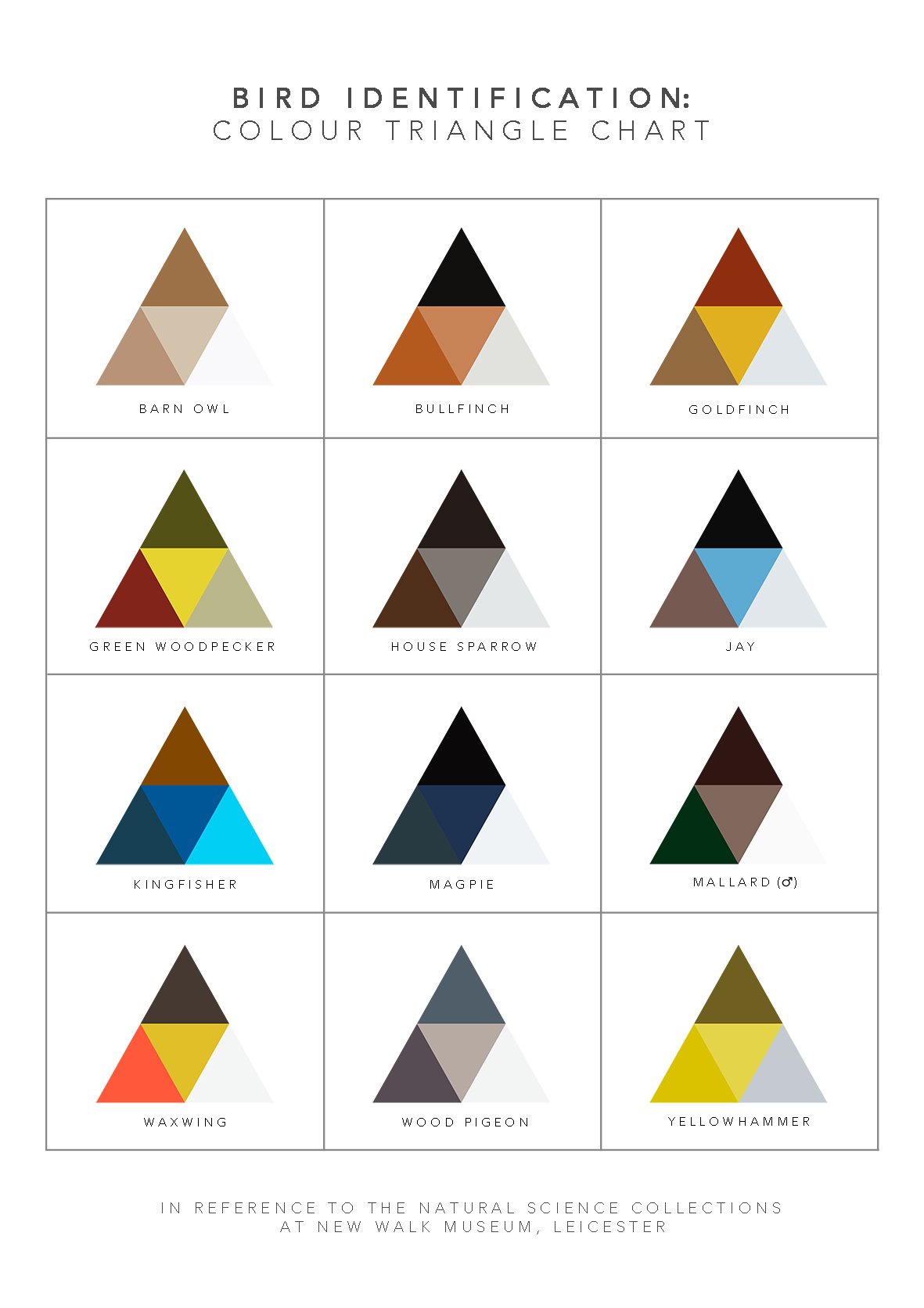 Bird Identification: Colour Triangle Chart | Lucy Stevens