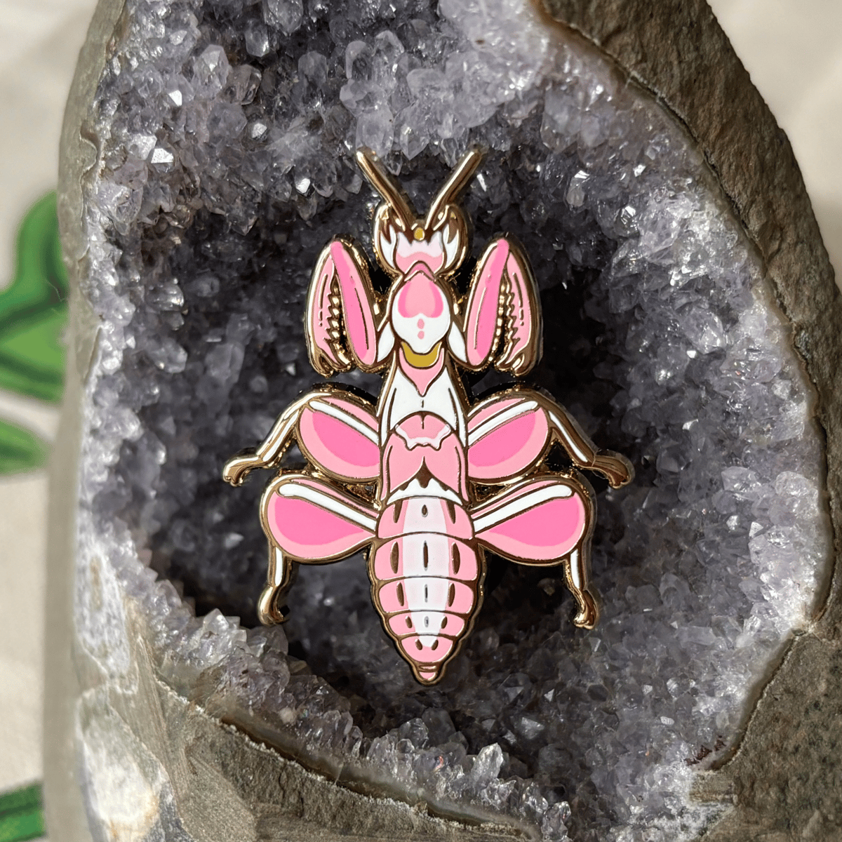 Orchid Mantis Enamel Pin | fossilforager