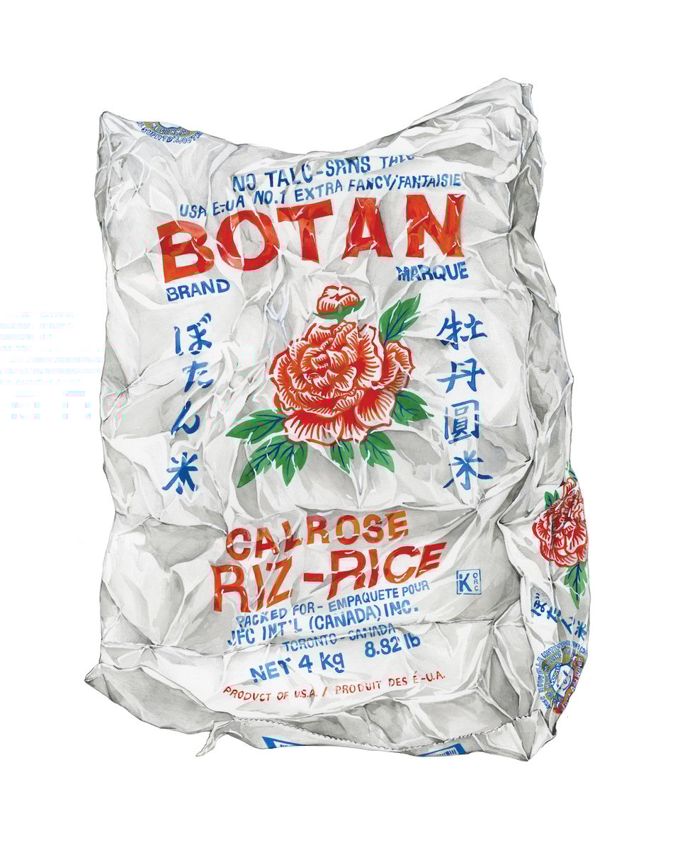 'Rose Rice' Giclée Limited Edition Art Print | JANICE WU