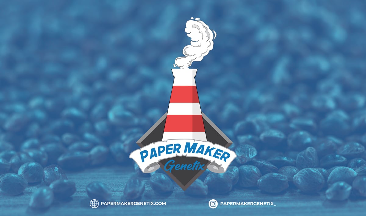 PMG SHIESTY MASK | Papermakergenetix