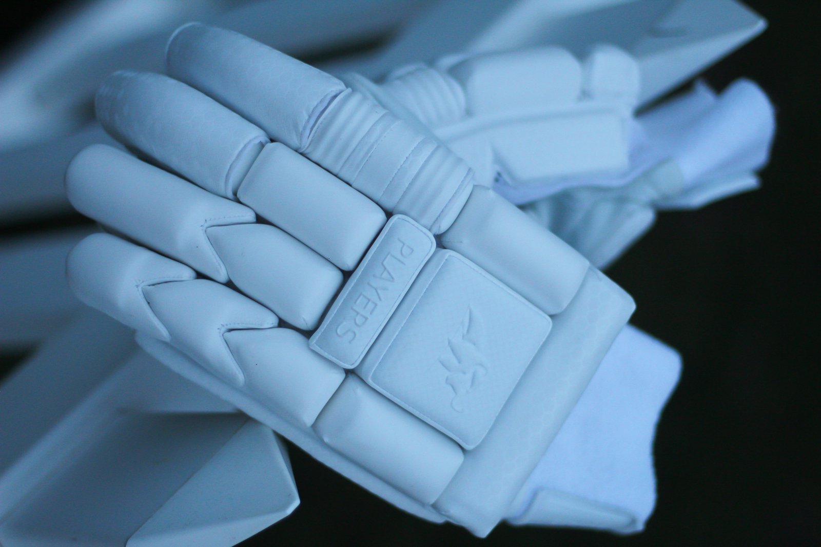 Home | Buffalo Cricket