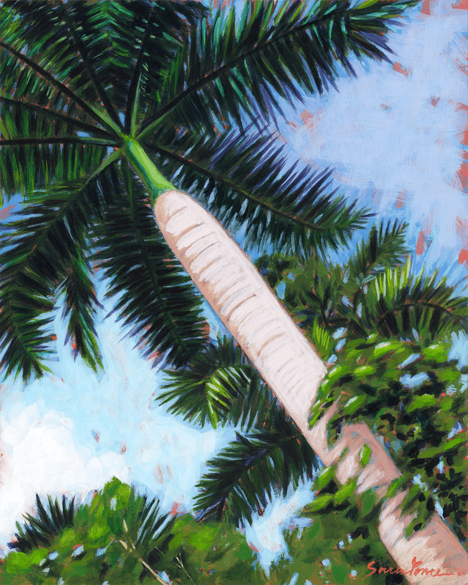 Fox Tail Palm Tree-Fine Art Print | Sara Ponce