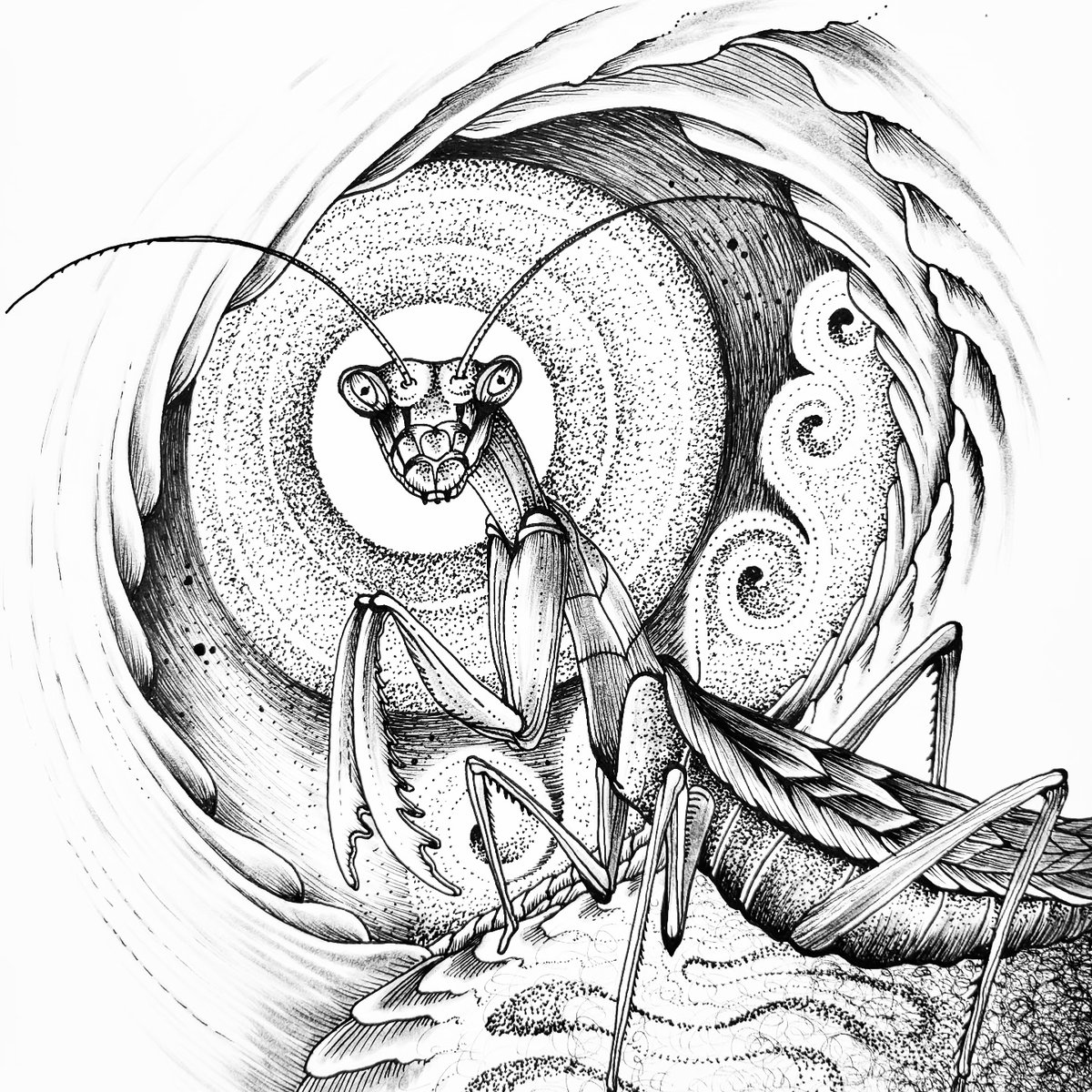 Mantis Portal Original Drawing | The Art of Alexis Palmaffy