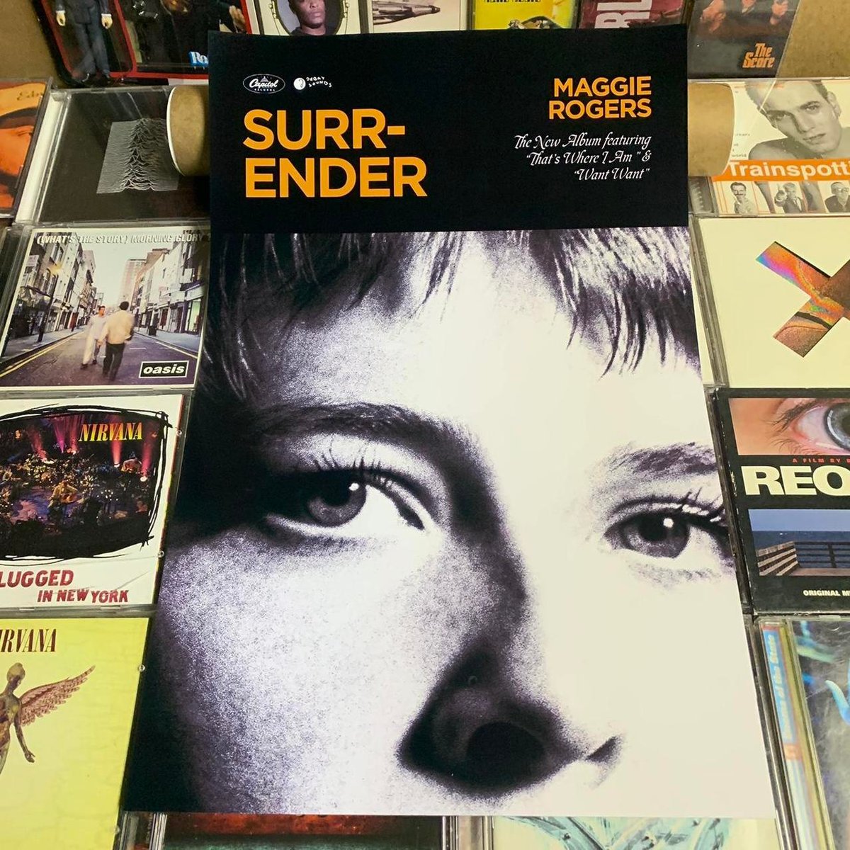 Maggie Rogers 'Surrender' Poster | ffound