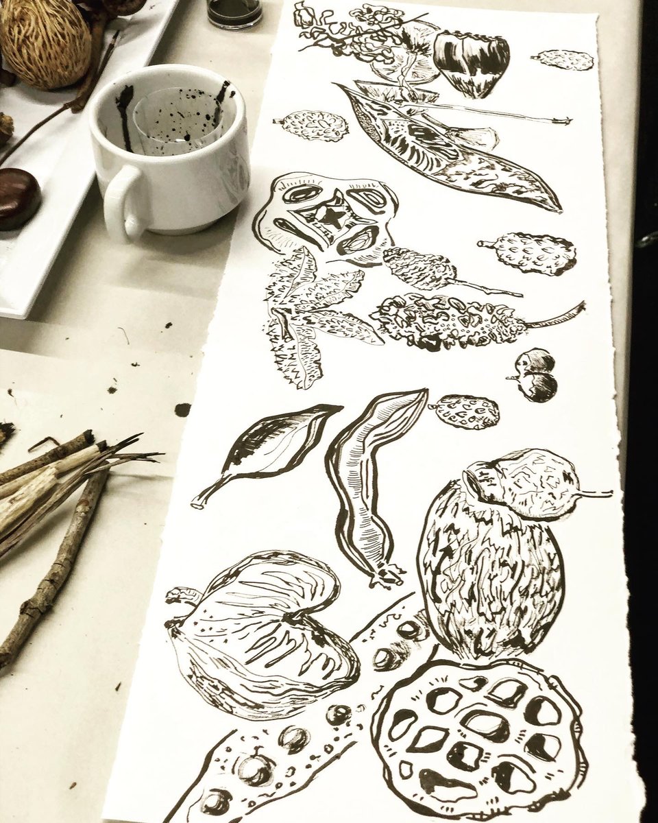 ASK FOR DATES: INTRO SEED DRAWING SESSIONS | seed.art.lab