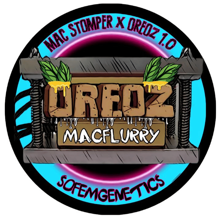 SoFem Genetic's ~ Oreoz Macflurry | Tree Line Seeds