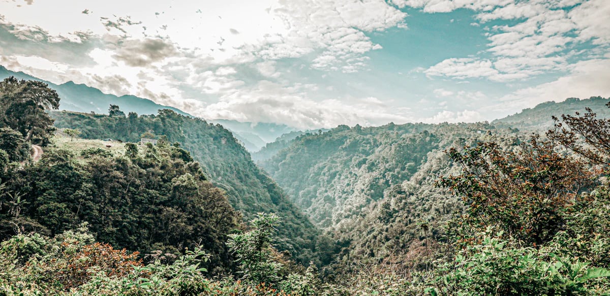 GUATEMALA | HUNBATZ | THE MORNING BREW | Kin Coffee Roasters