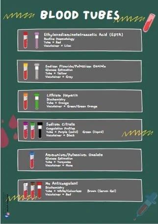 Blood Tubes Poster | PJ VN Tutoring Ltd
