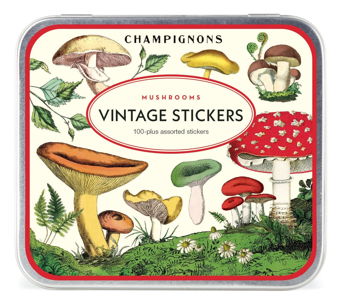 Cavallini & Co. Mushrooms Vintage Style Sticker Set, Assorted | POMP ...