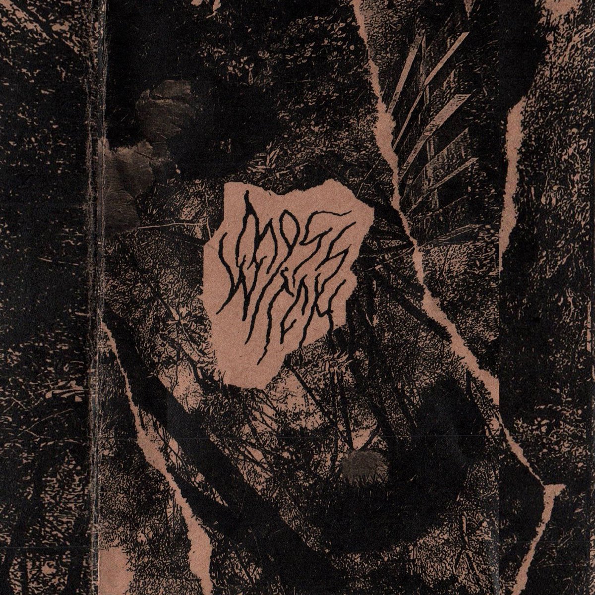 Moss Witch - Transformations At The Hands Of Malevolent Entities | Eye ...