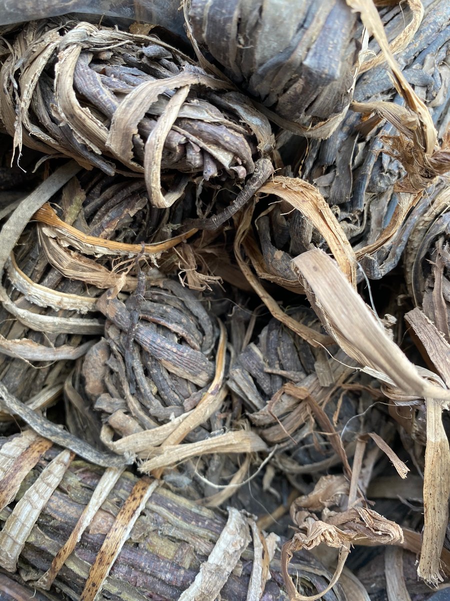 Mabi | Edith Beauty Store