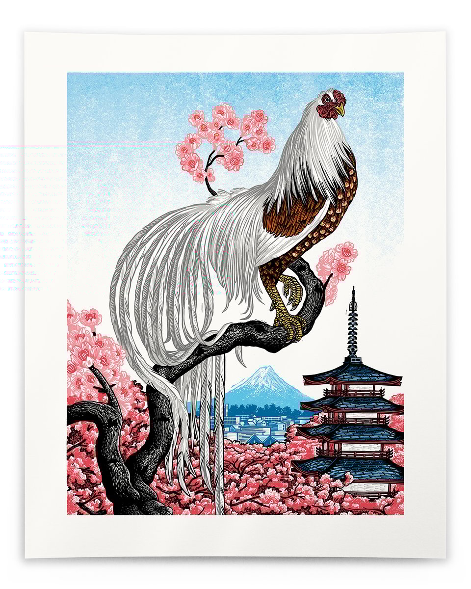 Giclée prints | Jan Hamstra