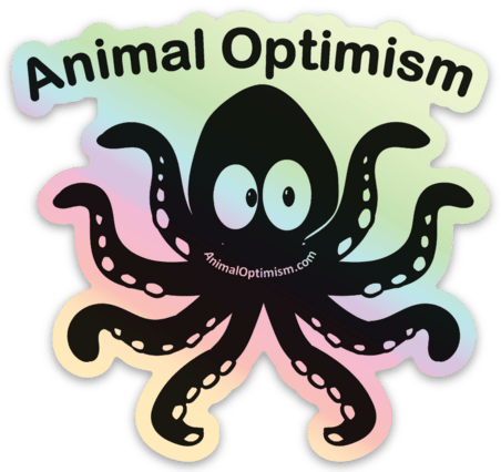 Octopus | Animal Optimism