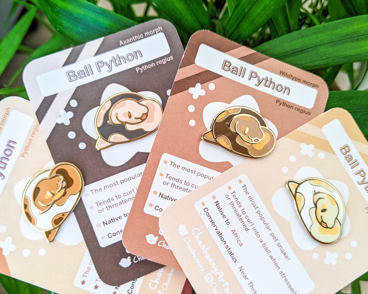 Ball Python - Tiny Reptile Enamel Pins | ChaobunnyArts