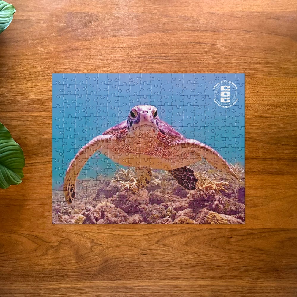 Coral City Camera Green Sea Turtle Puzzle | Coral Morphologic