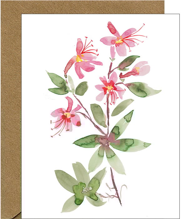 NEW - Mountain Azalea Watercolor Floral Note Card | Pink Bathtub Designs