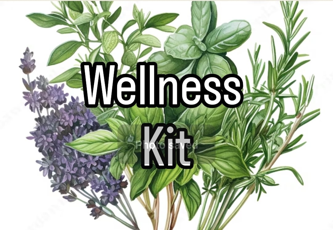 Wellness Kit 🌿 ️ (your go-to for our help in picking products to help ...