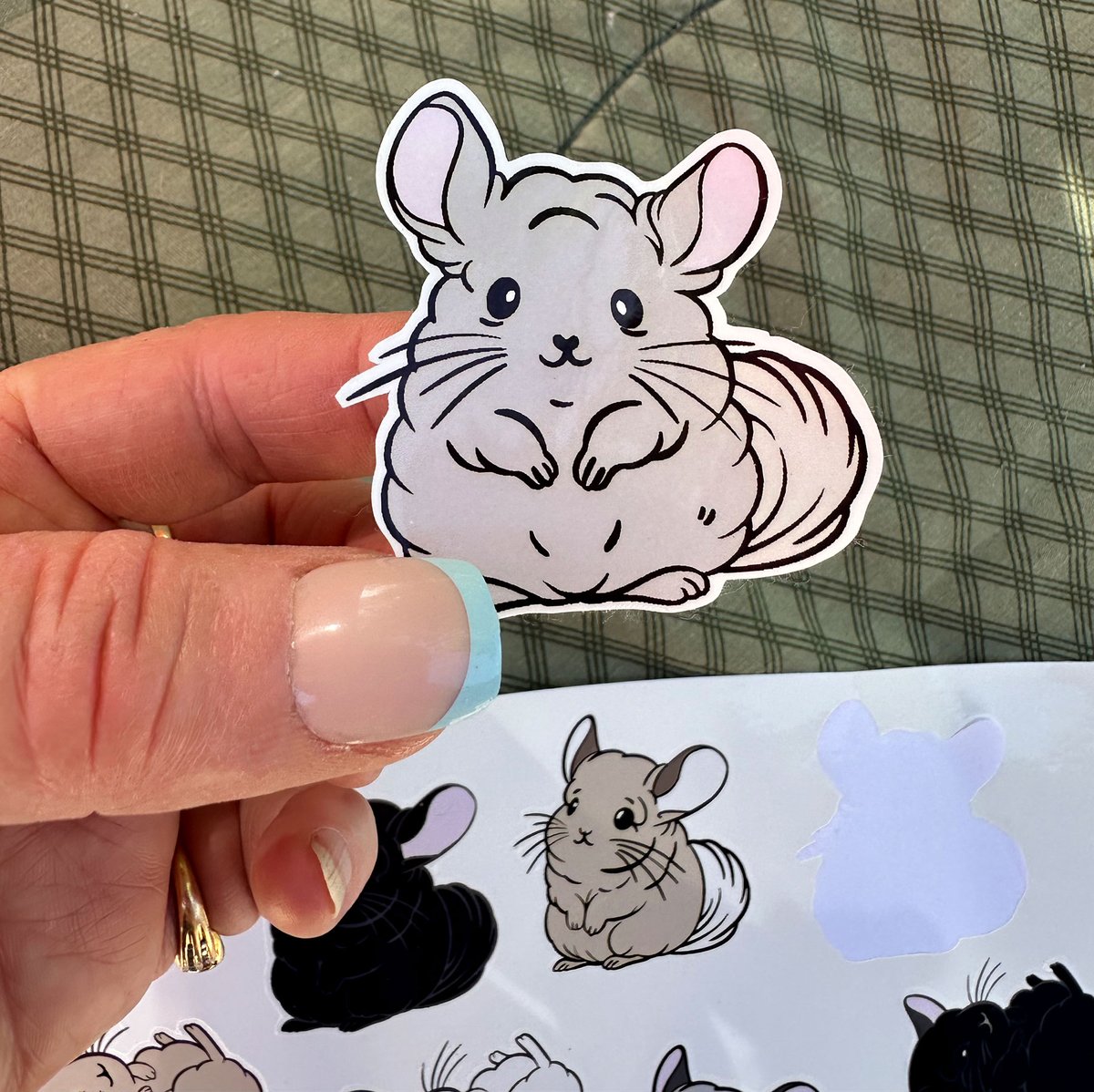 Chinchilla Stickers | ChinChic