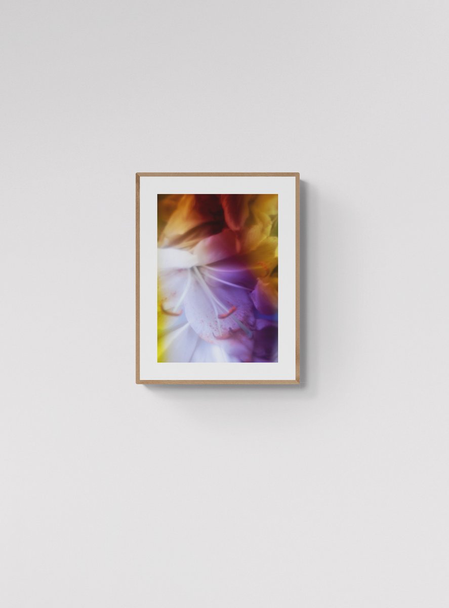 Soft Resilience #7 | METTE COLBERG