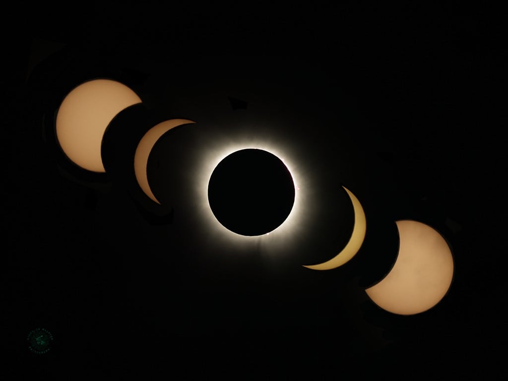 Michelle Walston - Eclipse | Living Grey Collective