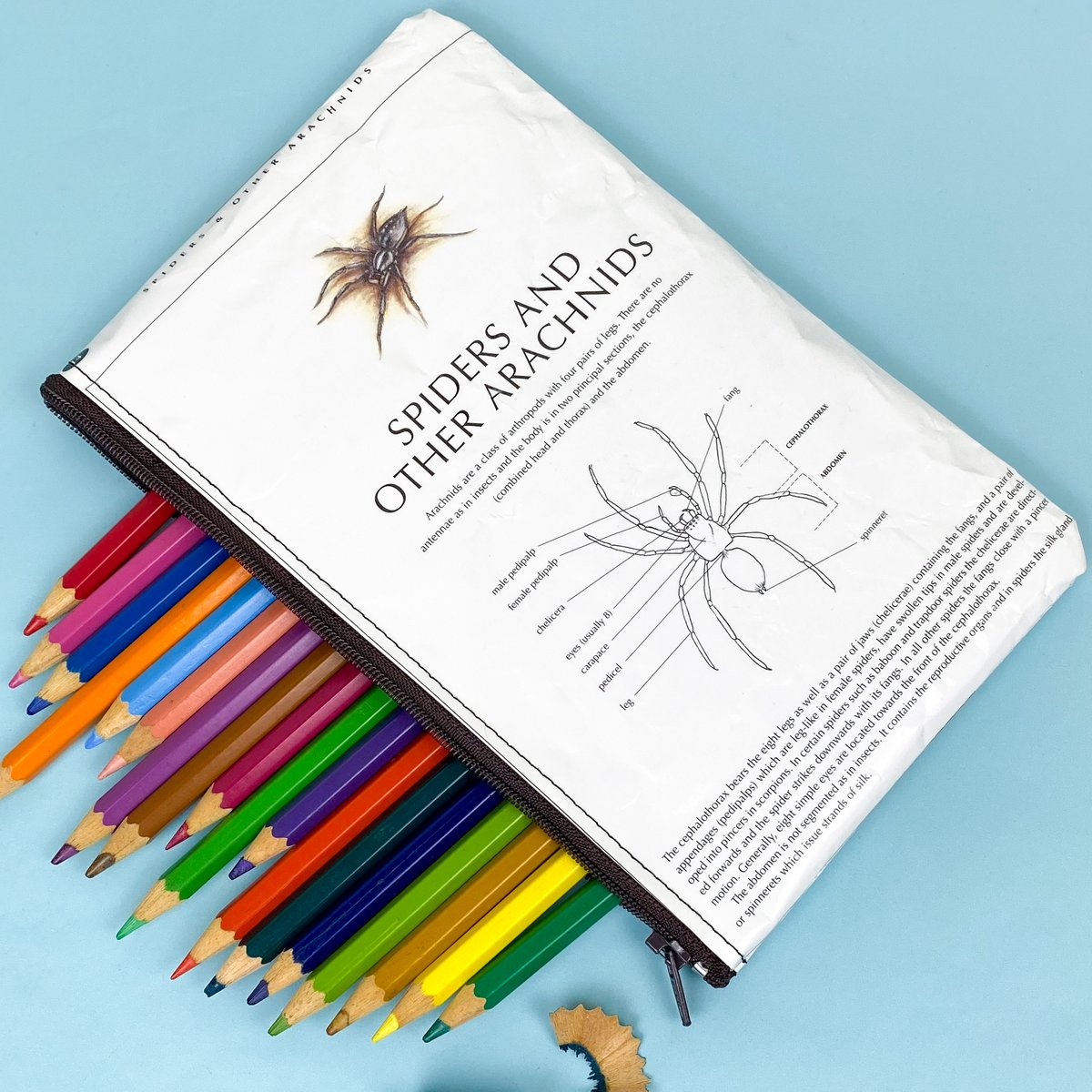 Spiders and Arachnids Book Page Pencil Case | Geeekalicious