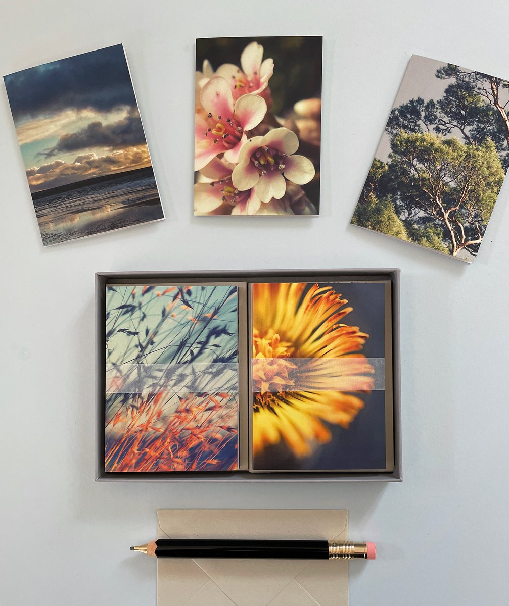 12 mini notelet cards + envelopes and gift box. | Red Ruby Rose