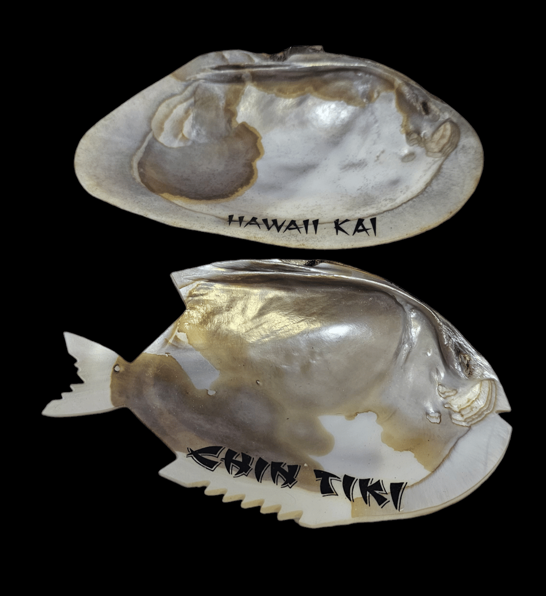 Vintage Pair of Natural Shell Ashtrays Hawaii Kai Chin Tiki FREE ...