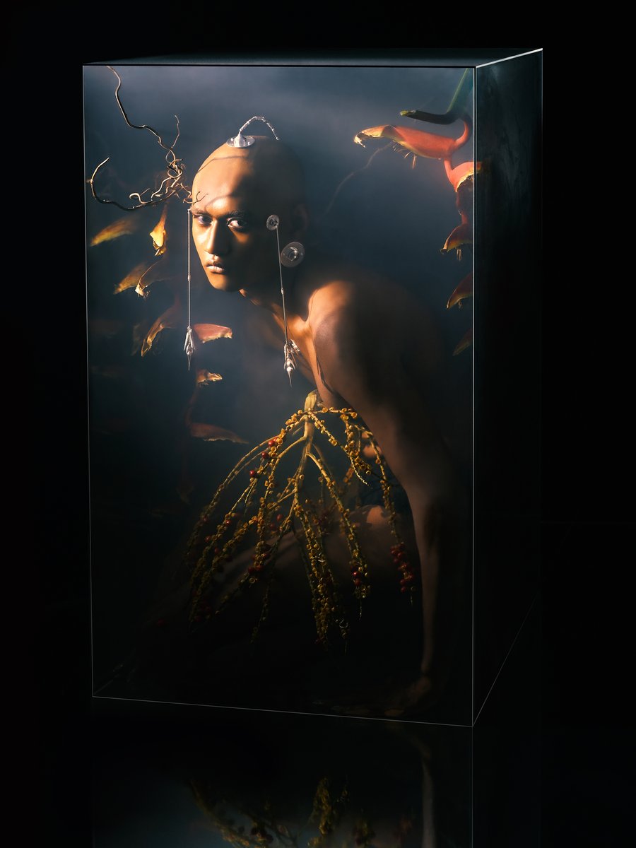 NINEN - (A0/A1/A2) | NAULA