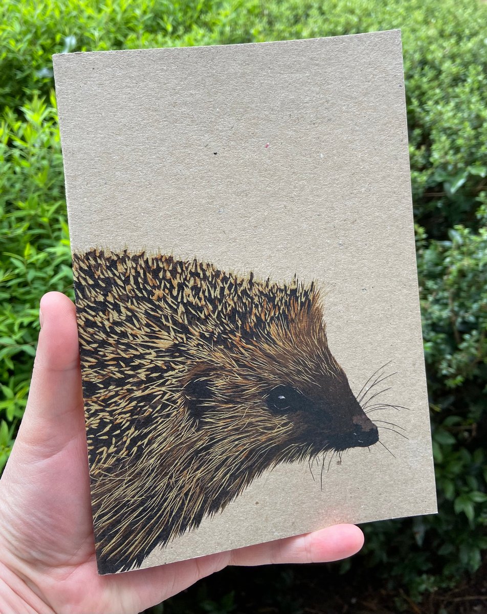 Hedgehog Notebook | Bear & Bird