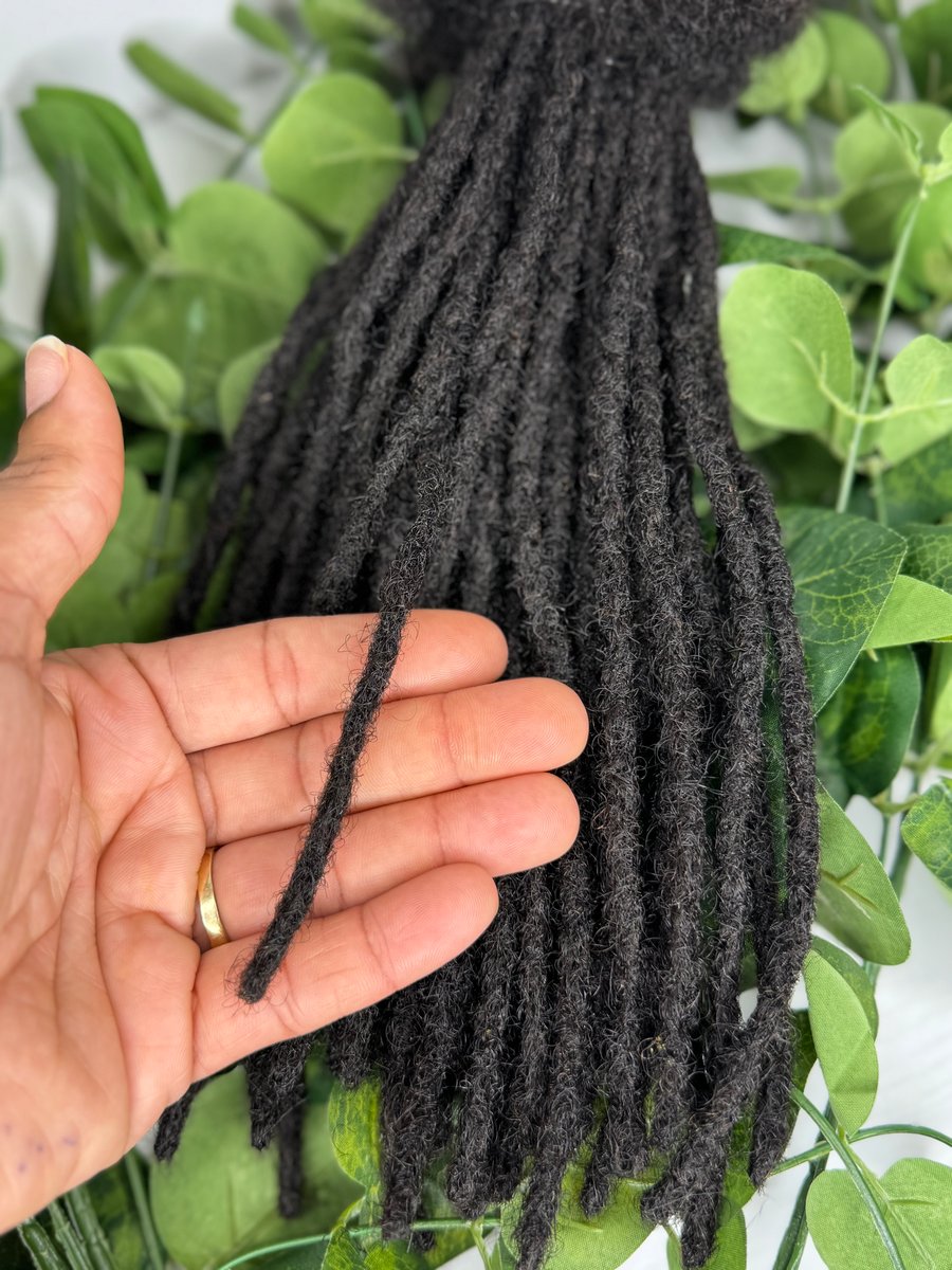 Traditional Locs | prettybelledreads
