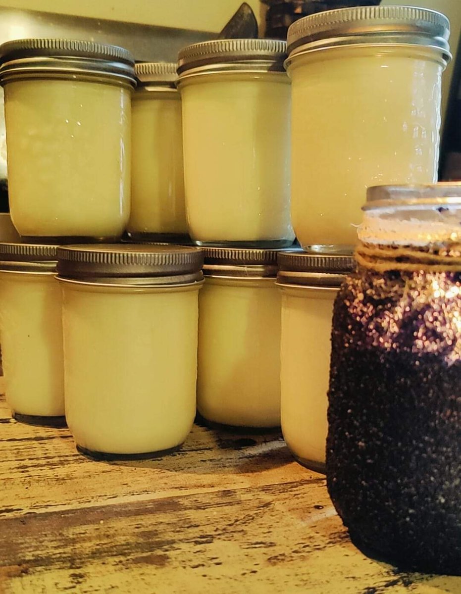 Half Pints | Black Cat Candle Company