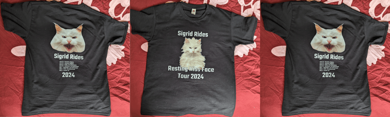 Sigrid Rides