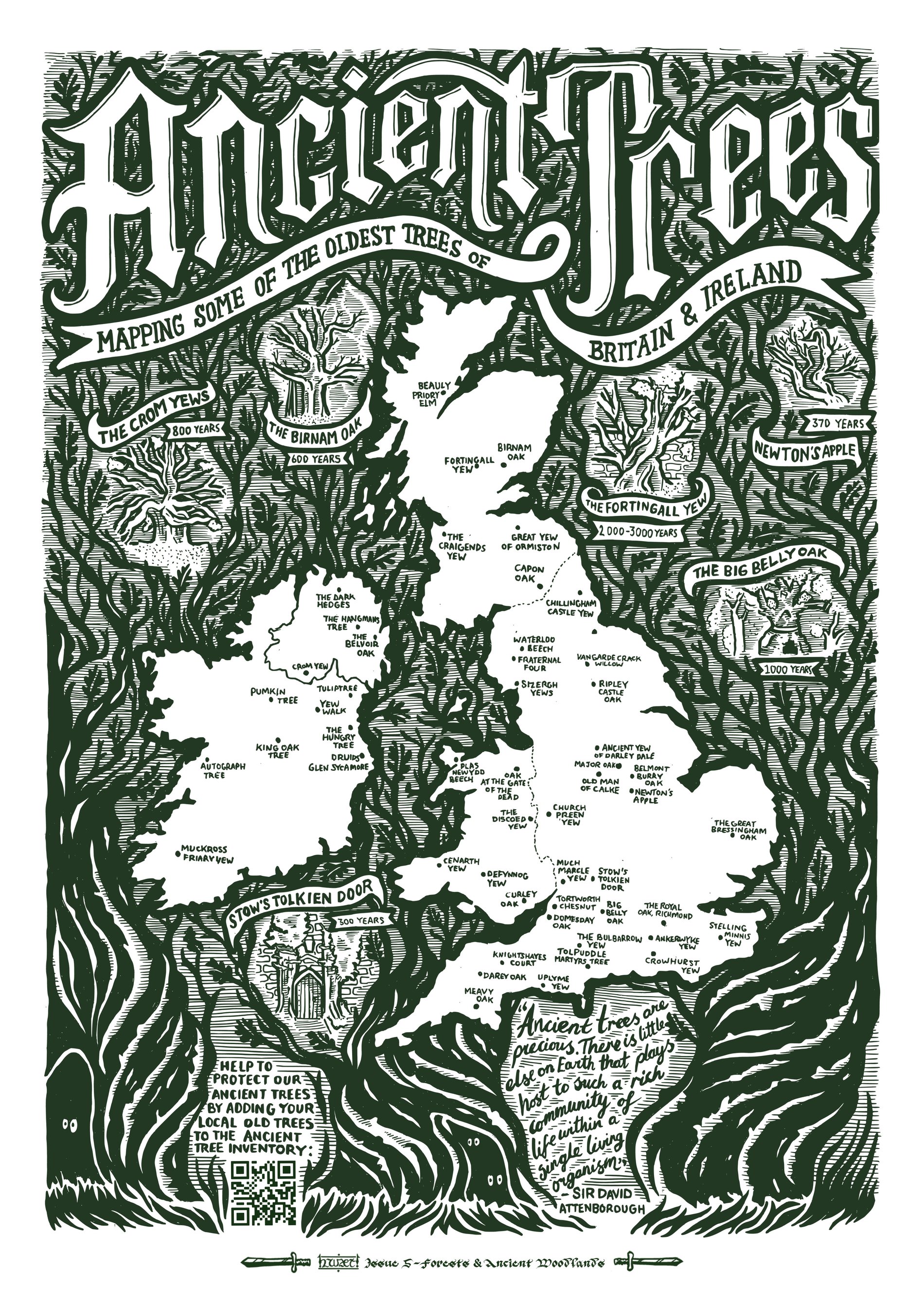 ANCIENT TREES OF BRITAIN & IRELAND MAP - A3 ART PRINT | Hwaet! Zine